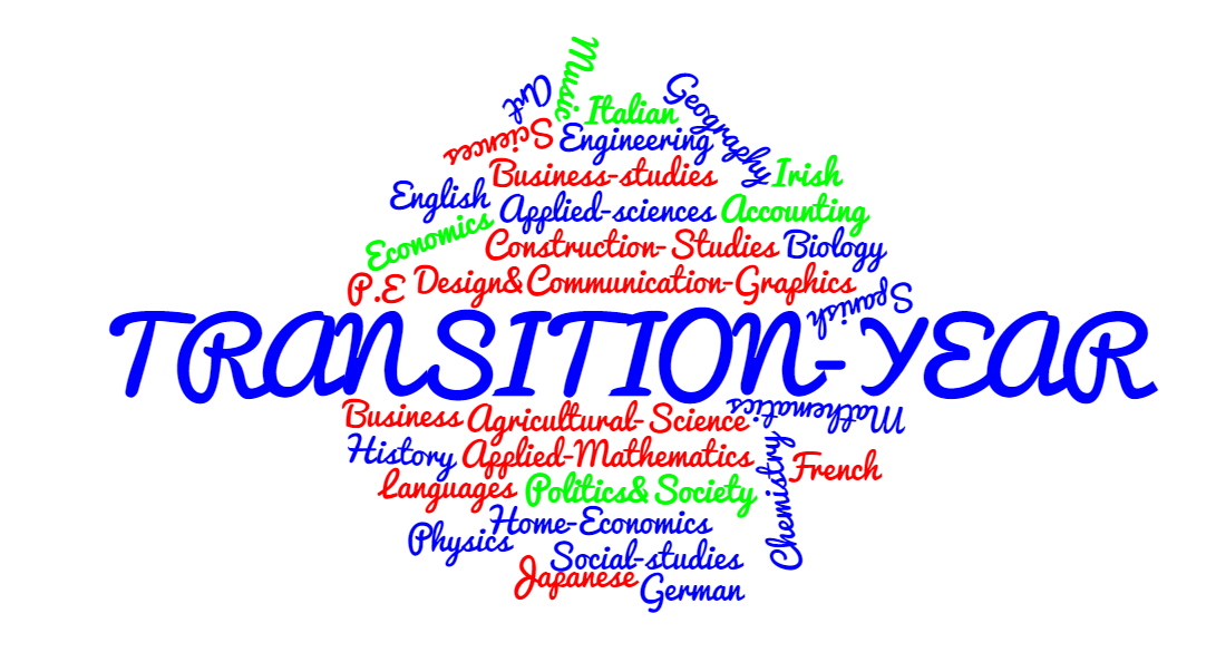 Transition Year at Midleton CBS